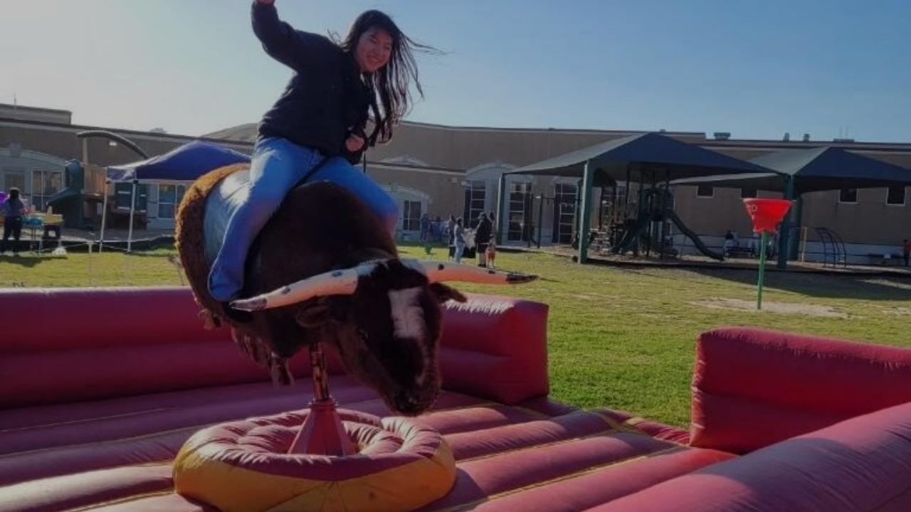 Houston Bounce House Party Rentals & Party Rentals | Lone Star Parties